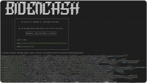 BidenCash marketplace gives away data on 1.2 million credit cards