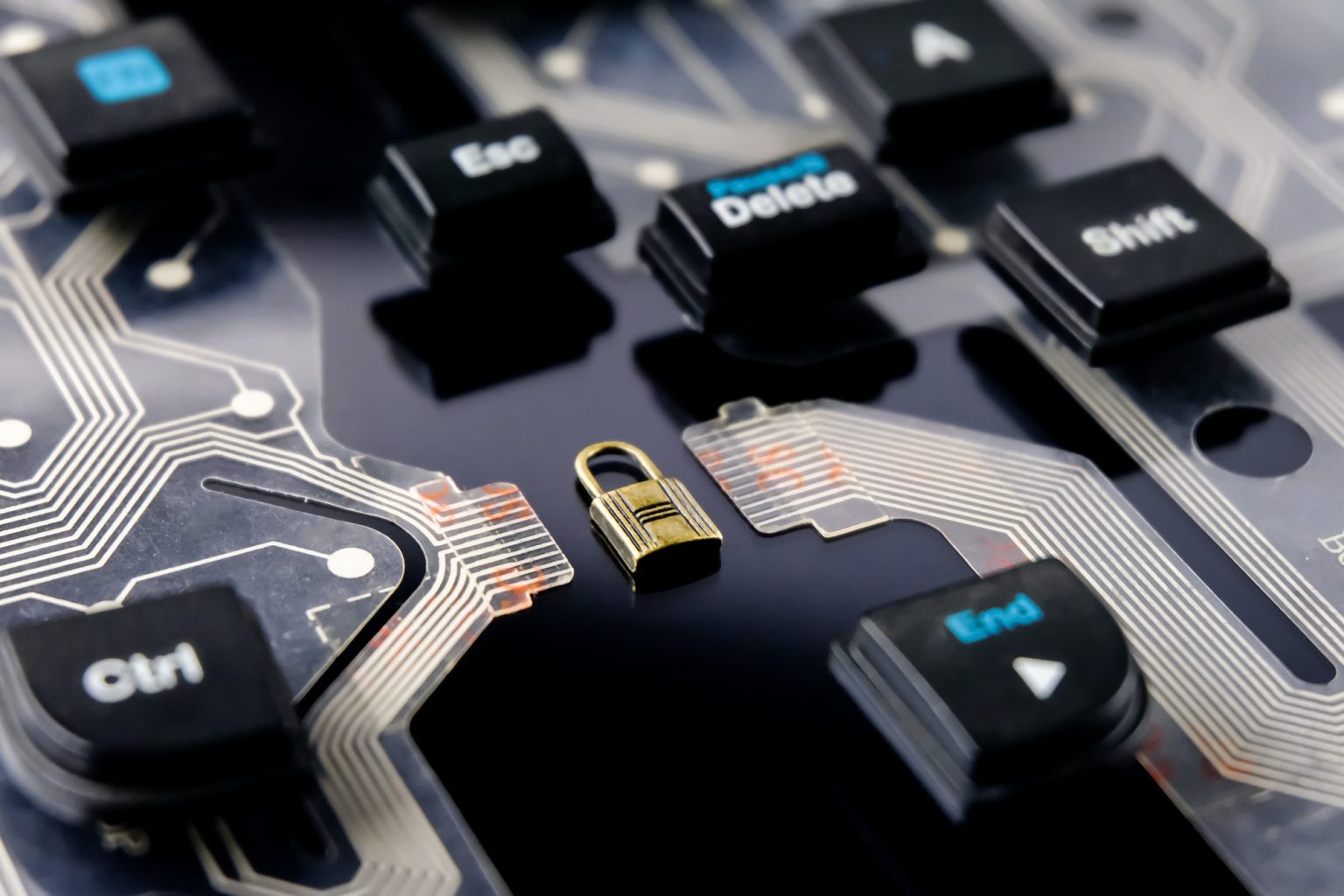 Worldpay acquires AI-powered fraud prevention firm Ravelin